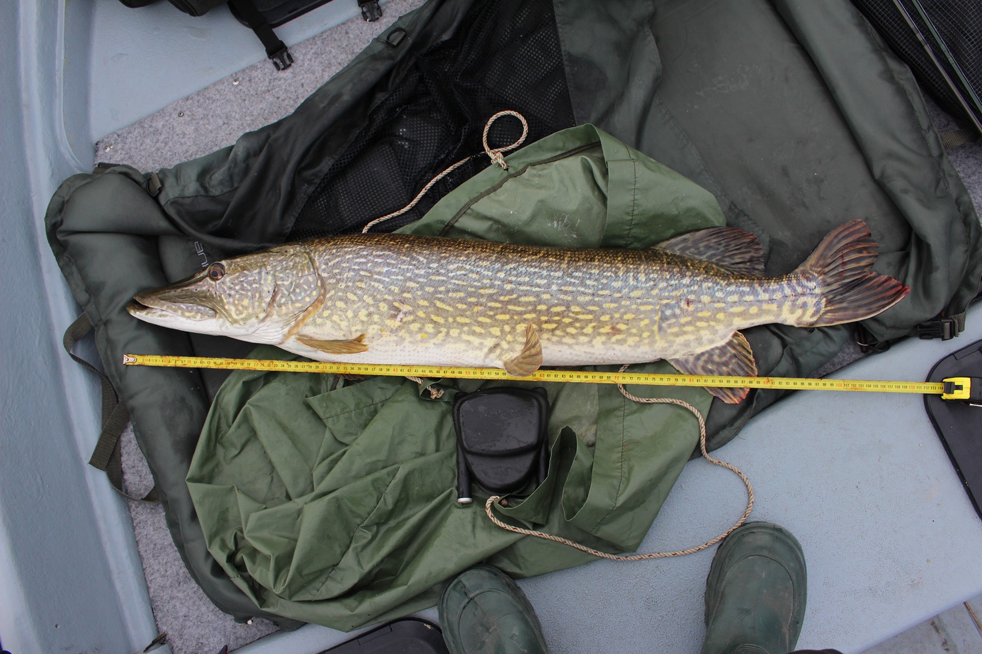 Ola Esbjörnsson med sin 6.gjedde over 10 kg ! - PikewallisFriluftsliv