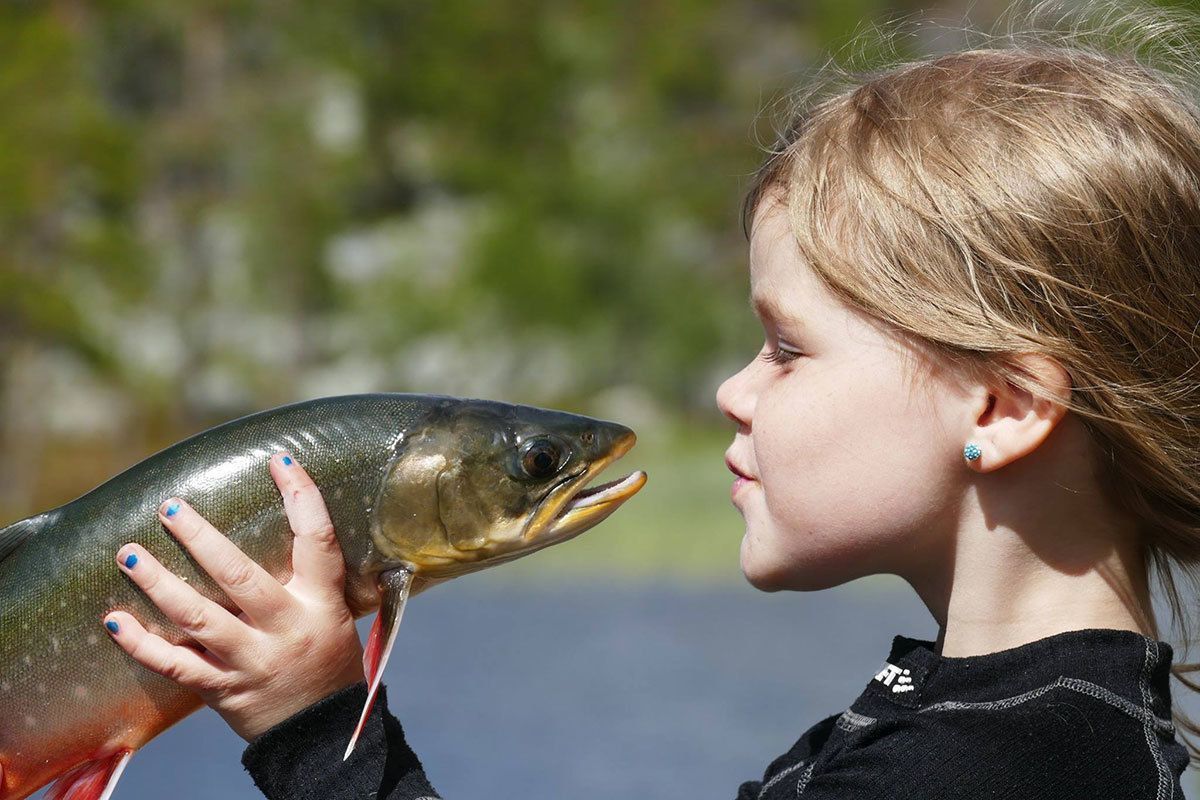 Kent Skaje binder spent spinner !!! - PikewallisFriluftsliv