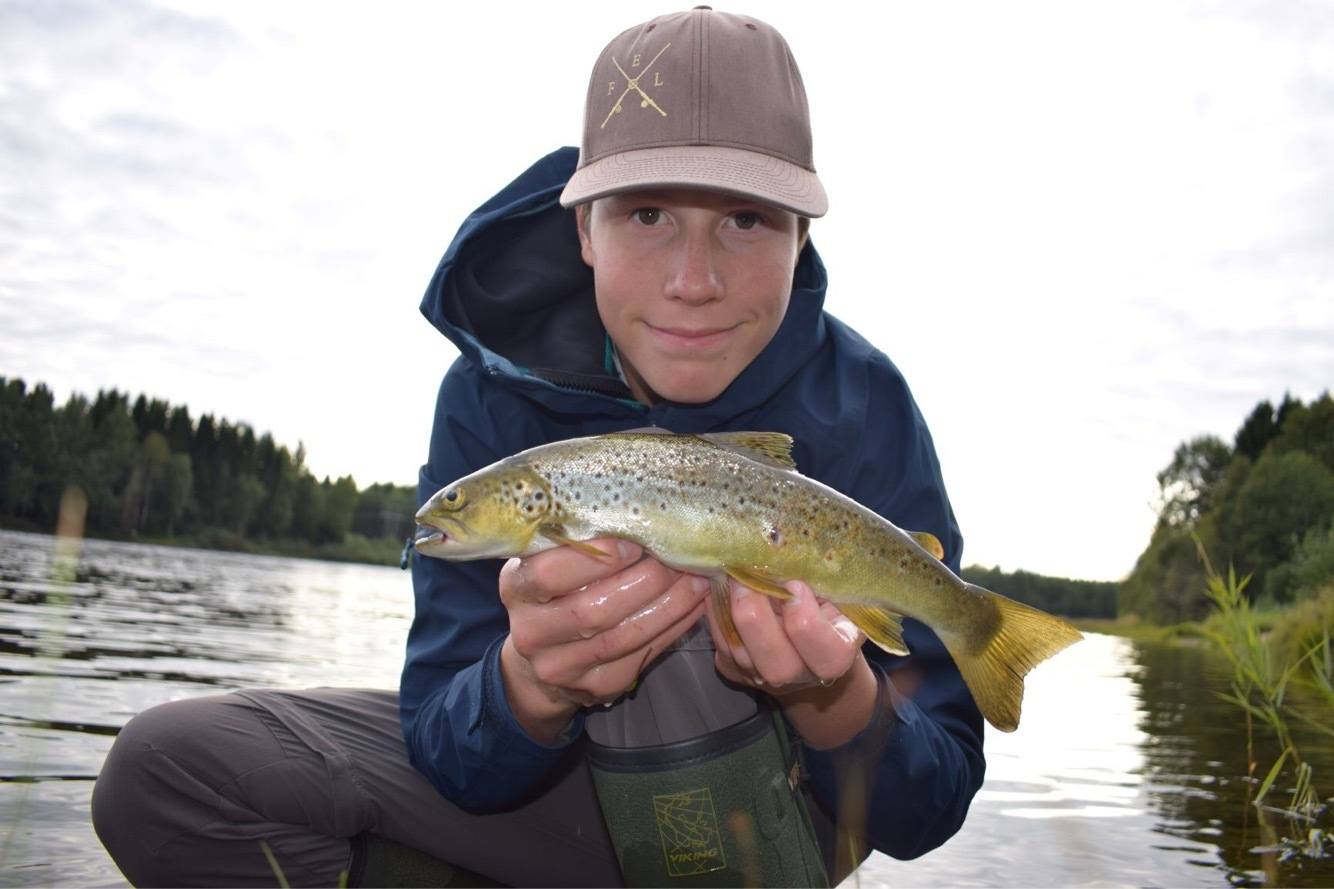 Harr og ørretfiske i Glomma - PikewallisFriluftsliv