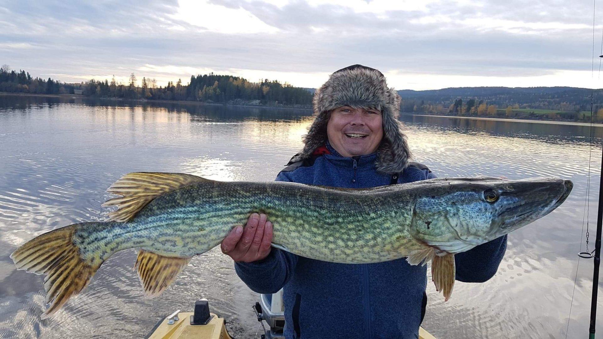 Gautes lengste gjedde så langt - PikewallisFriluftsliv