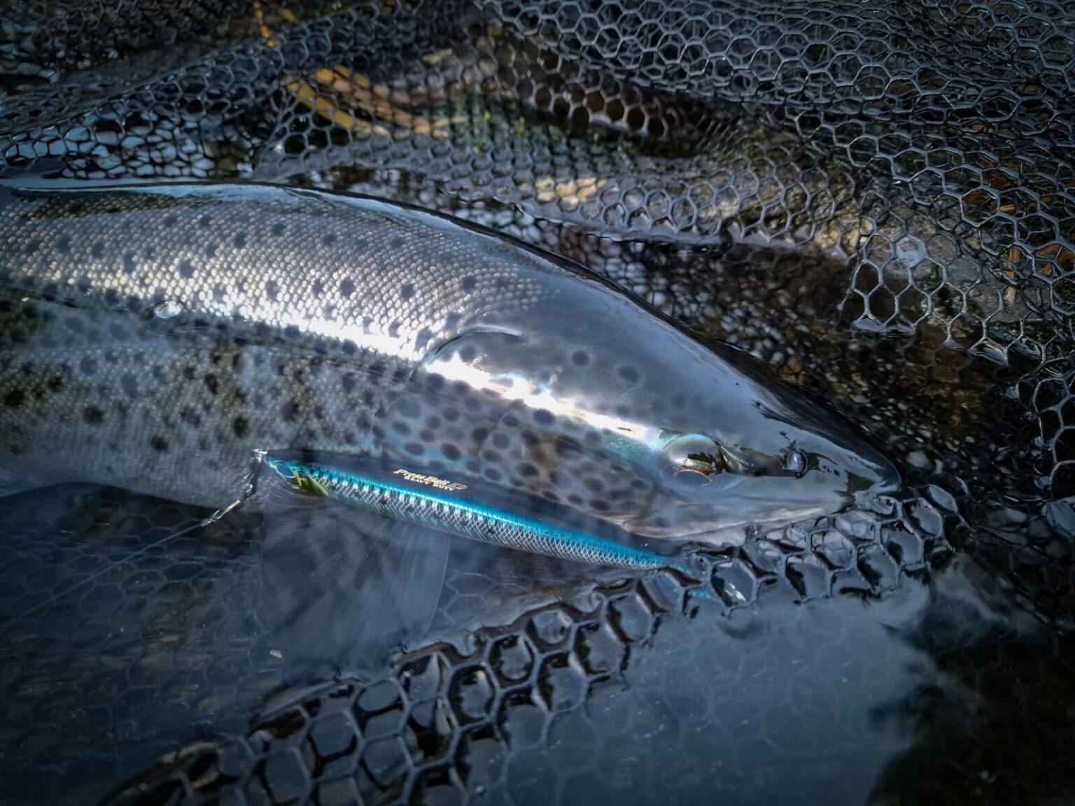 Hva er egentlig ei god fiskestang? - PikewallisFriluftsliv